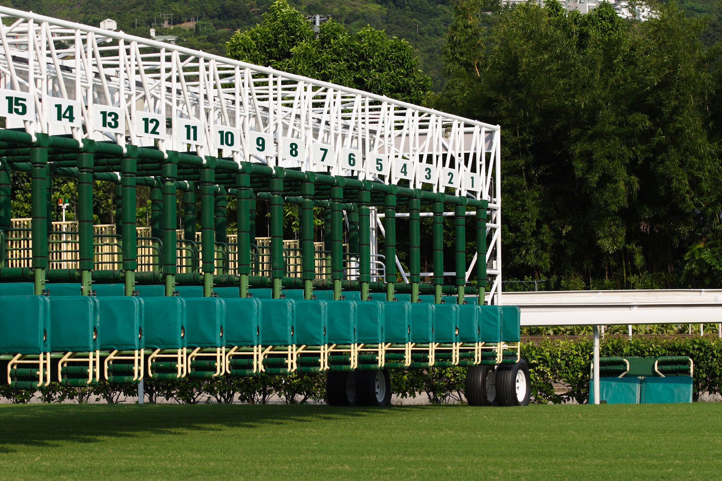 Expert Horse Racing Tips for Punting Enthusiasts | Puntify